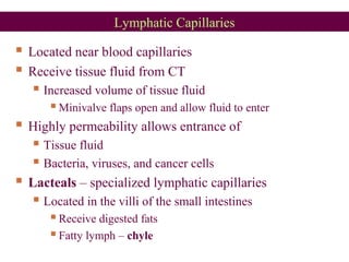 Anatomy of lymphatic system ppt | PPT