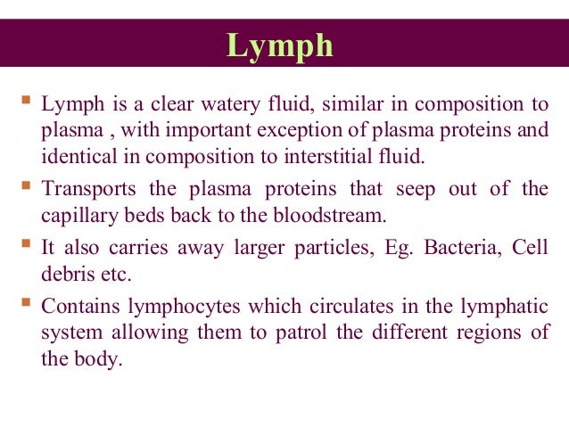 Ppt Functional Anatomy Of Lymphatic System Powerpoint