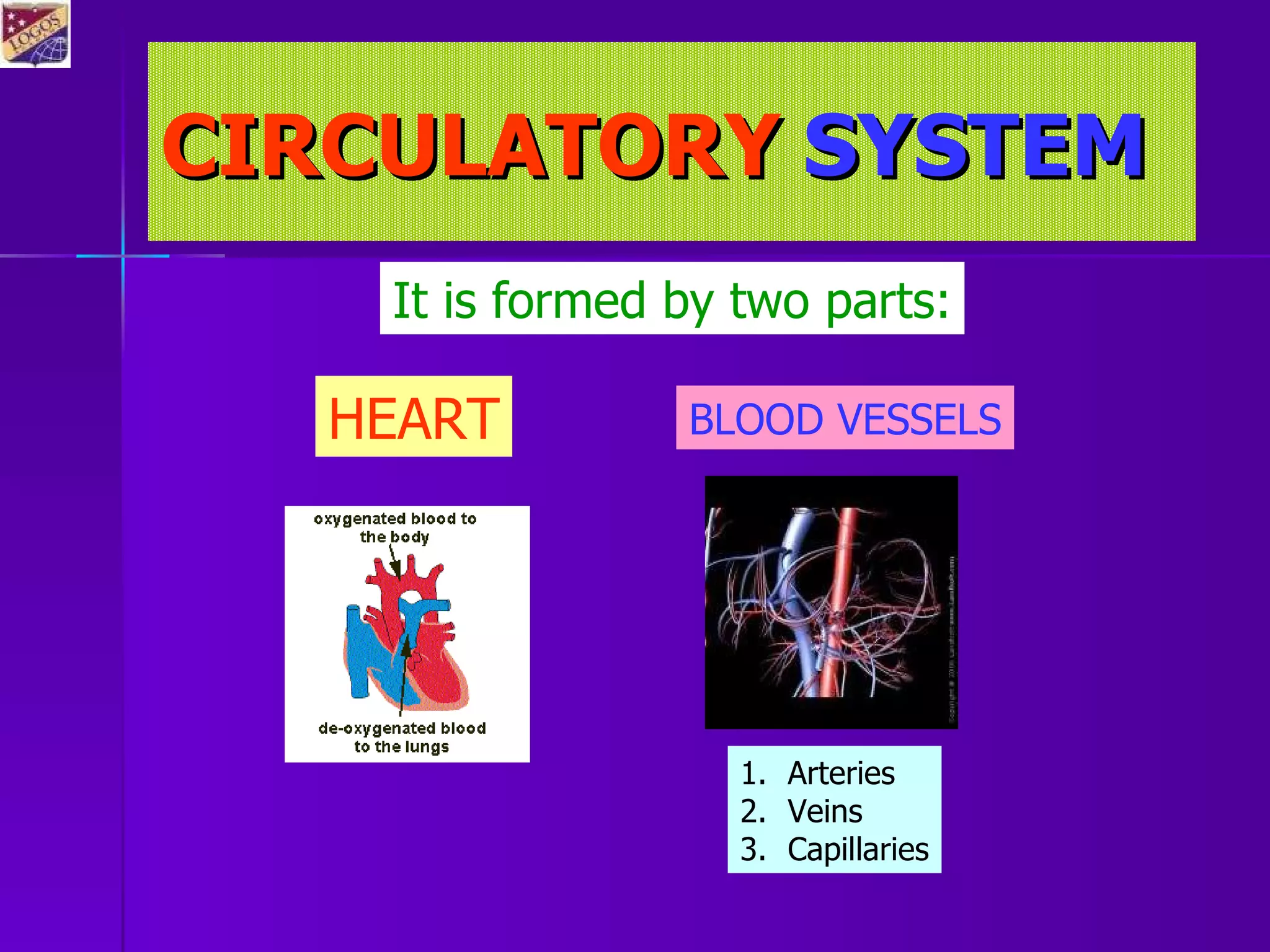 Blood And Circulatory System | PPT | Blood Disorders | Diseases and Conditions