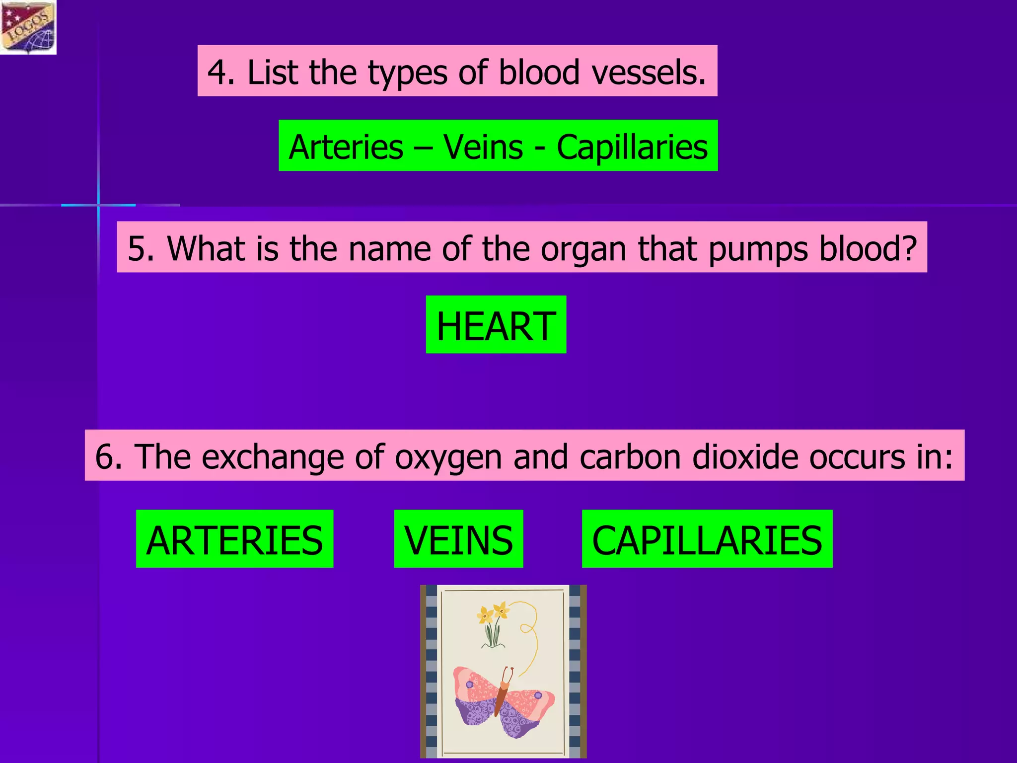 Blood And Circulatory System | PPT