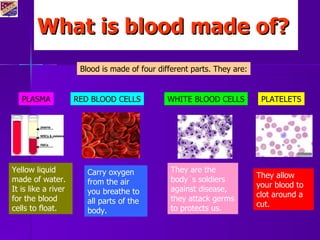 Blood And Circulatory System | PPT | Blood Disorders | Diseases and ...