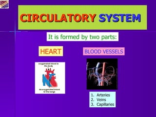 Blood And Circulatory System | PPT | Blood Disorders | Diseases and ...