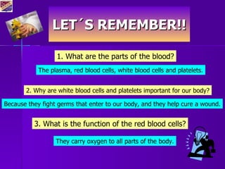 Blood And Circulatory System | PPT | Blood Disorders | Diseases and ...