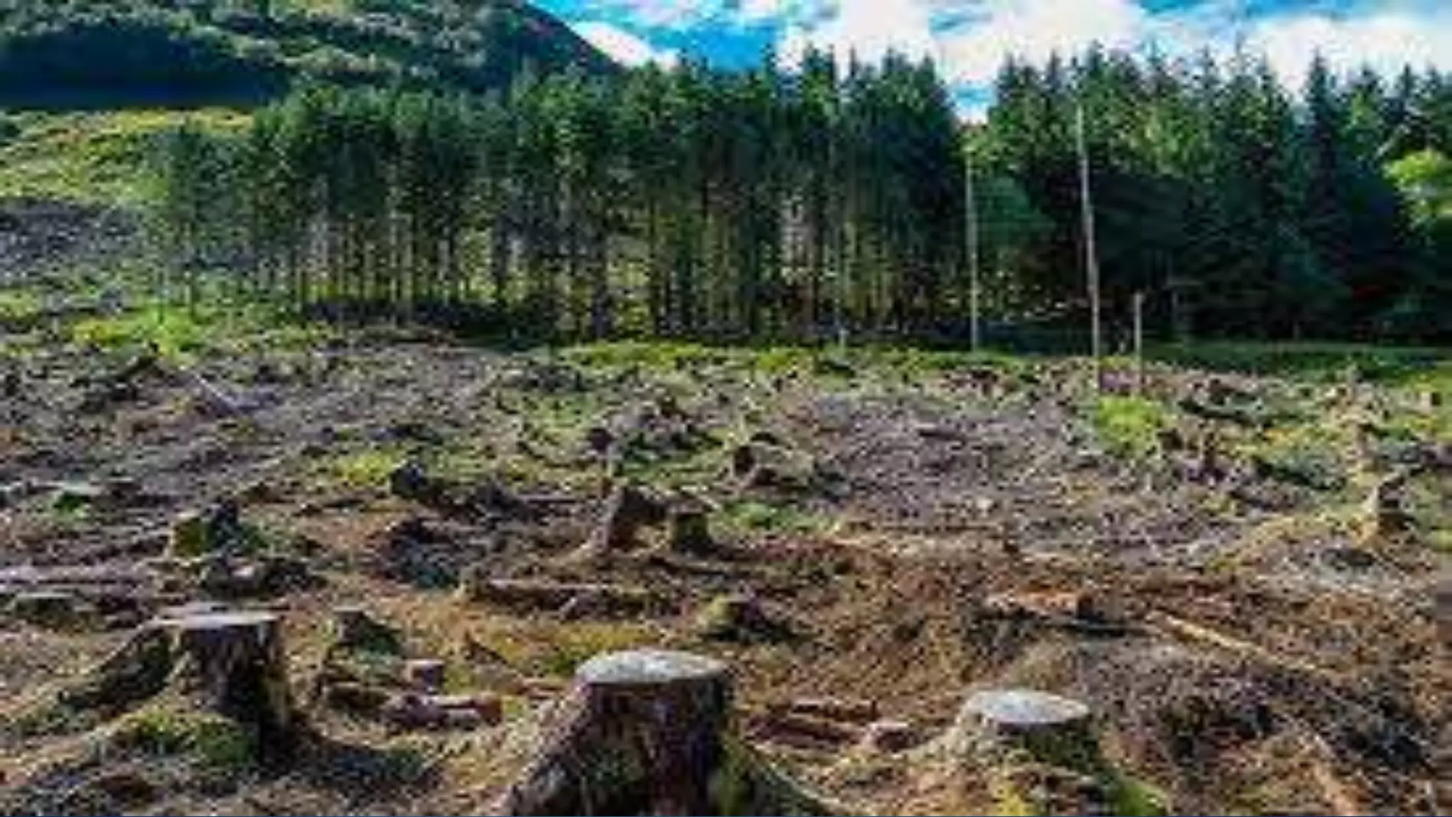 10 Major Environmental Problems | PPTX