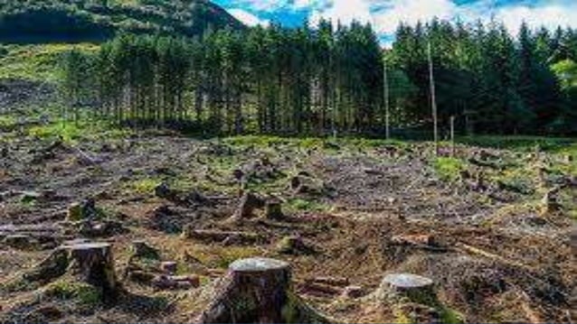 10 Major Environmental Problems | PPTX 10 Major Environmental Problems | PPTX