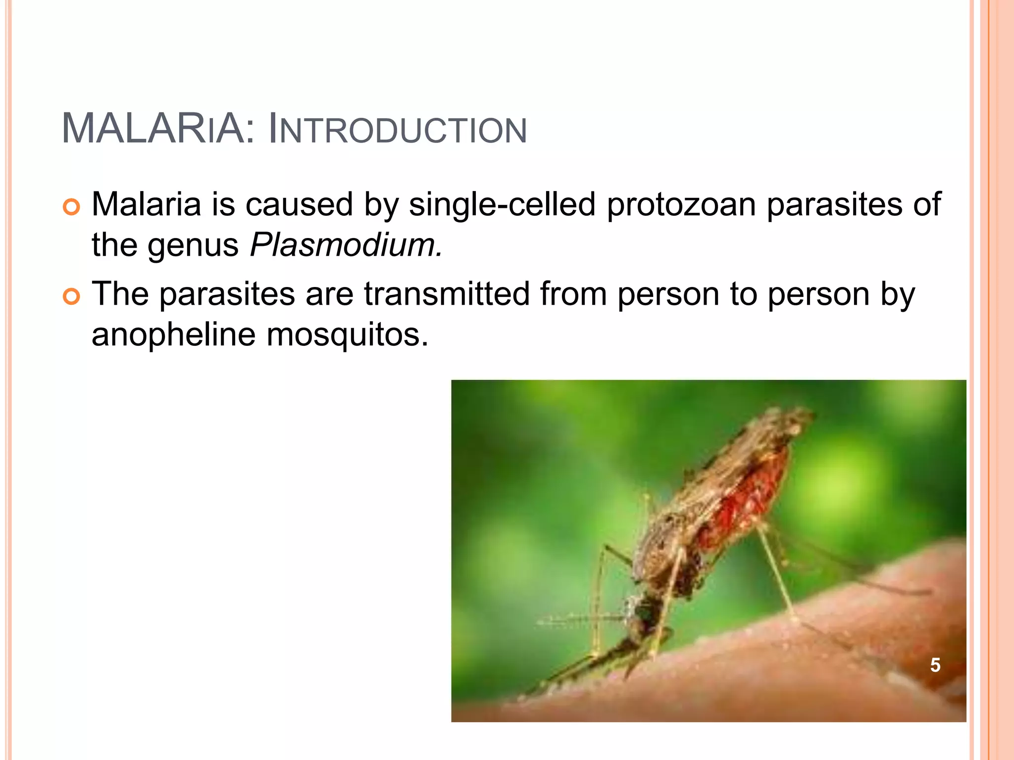 10 malaria and filariasis | PPTX