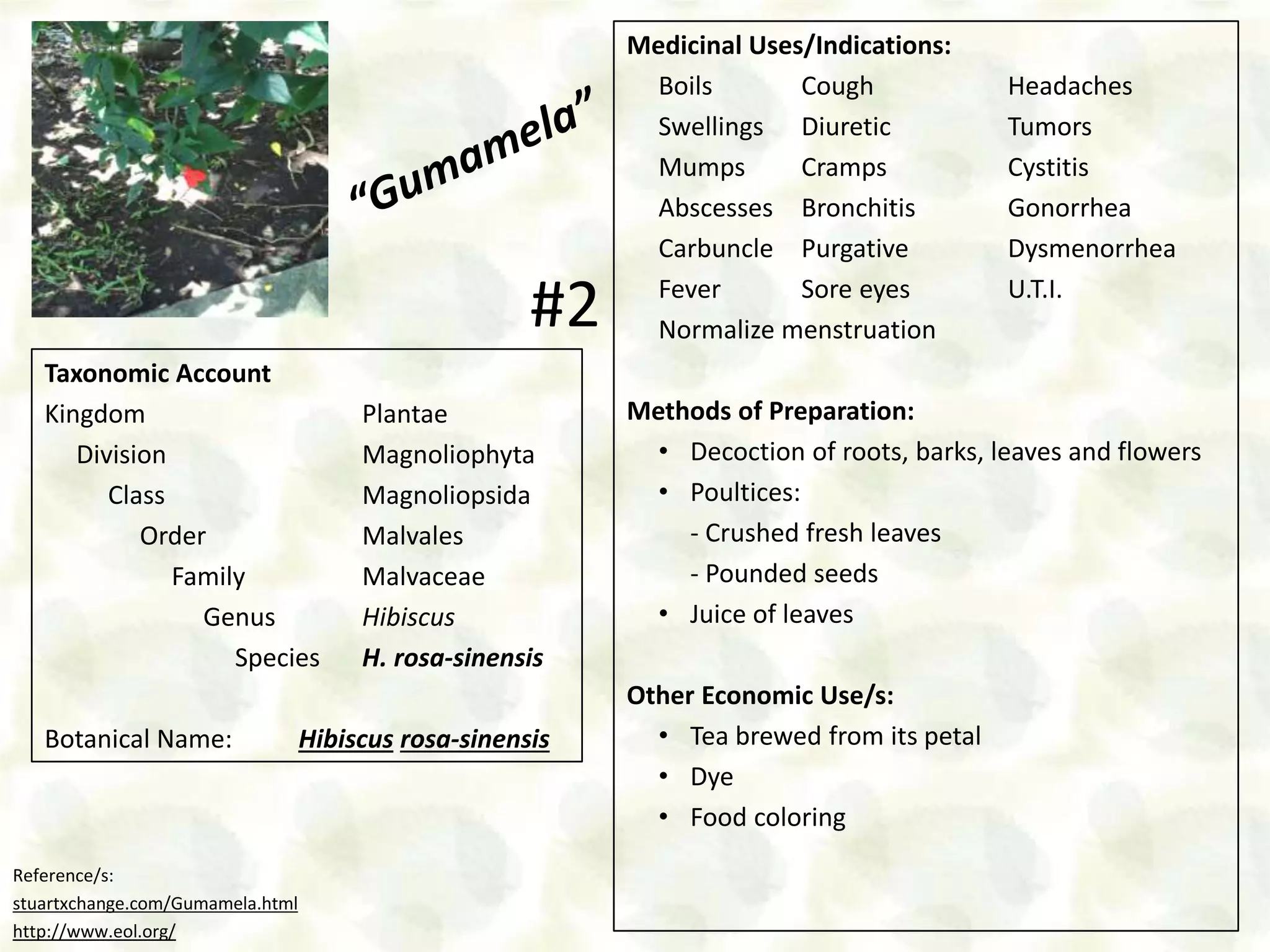 10 Medicinal Plants Found in DLSU-D Botanical Garden | PPTX