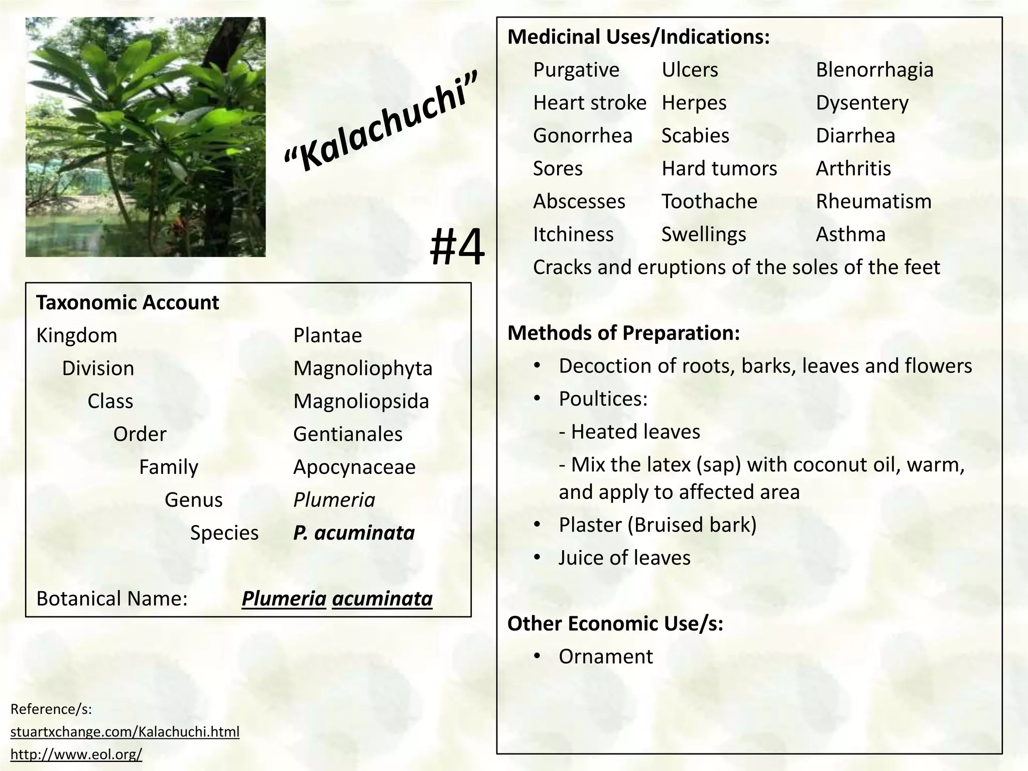 10 Medicinal Plants Found in DLSU-D Botanical Garden | PPTX