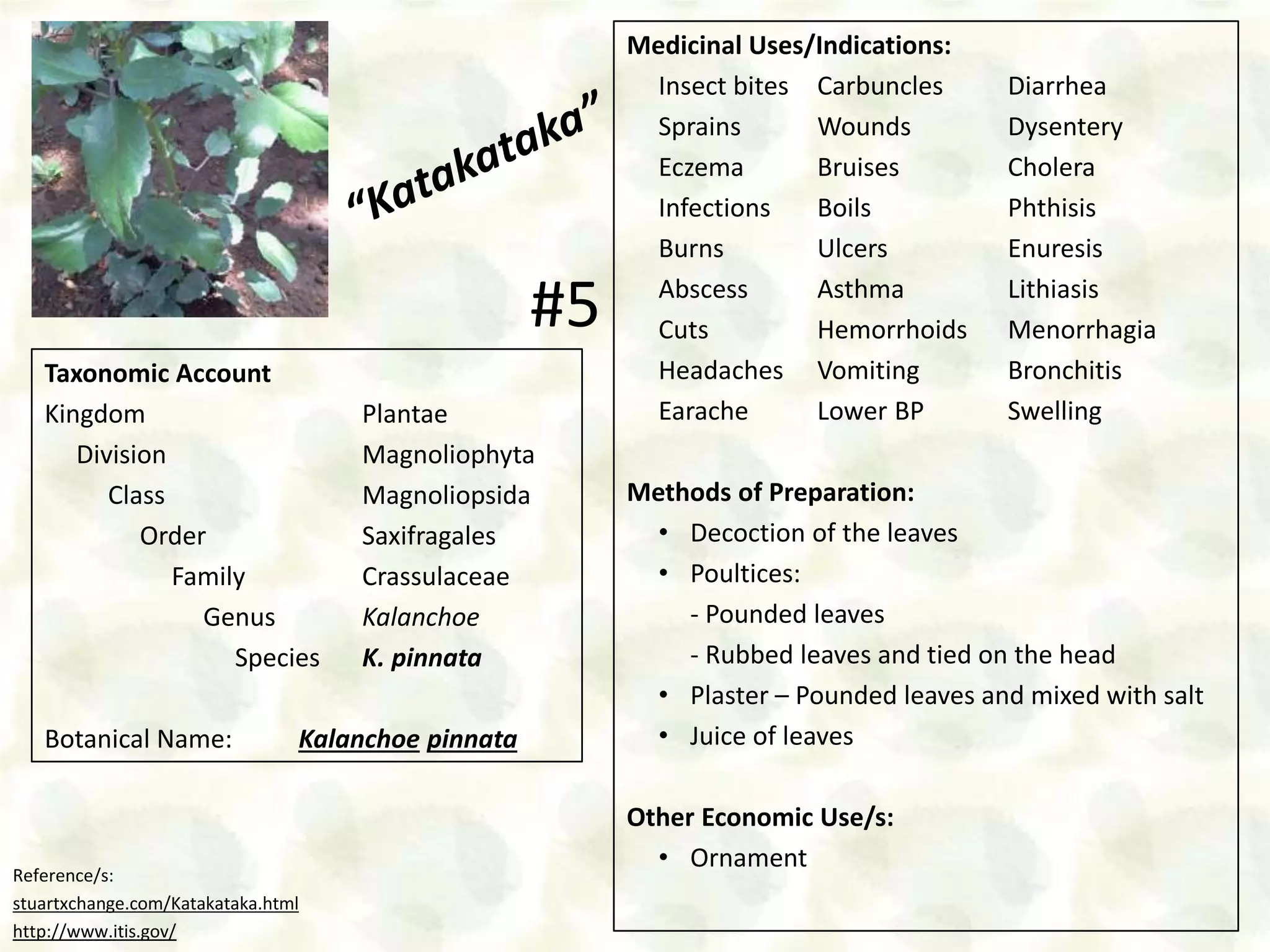 10 Medicinal Plants Found in DLSU-D Botanical Garden | PPTX