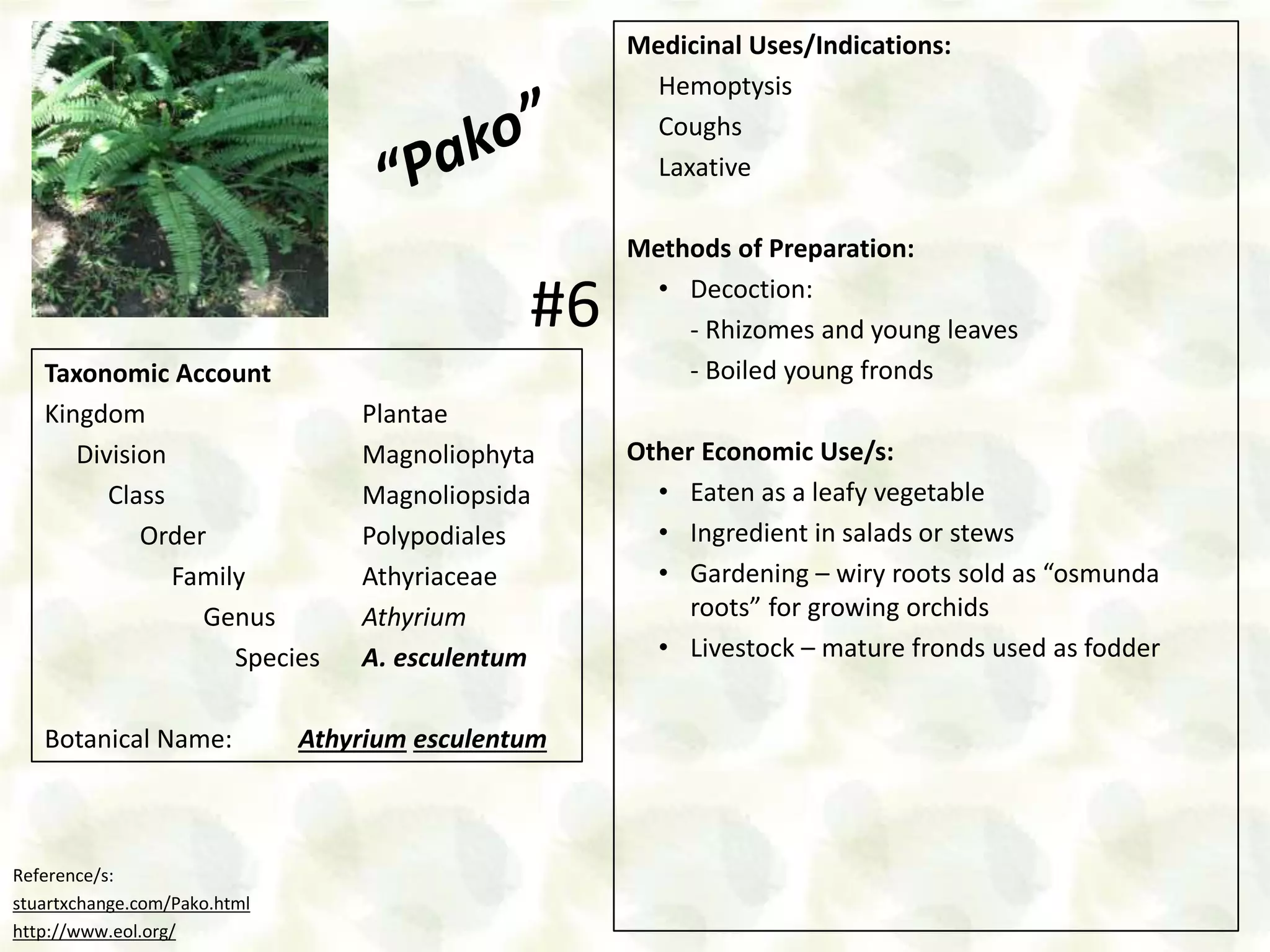 10 Medicinal Plants Found in DLSU-D Botanical Garden | PPTX