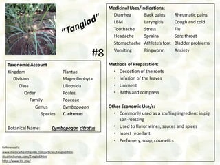 10 Medicinal Plants Found in DLSU-D Botanical Garden | PPTX