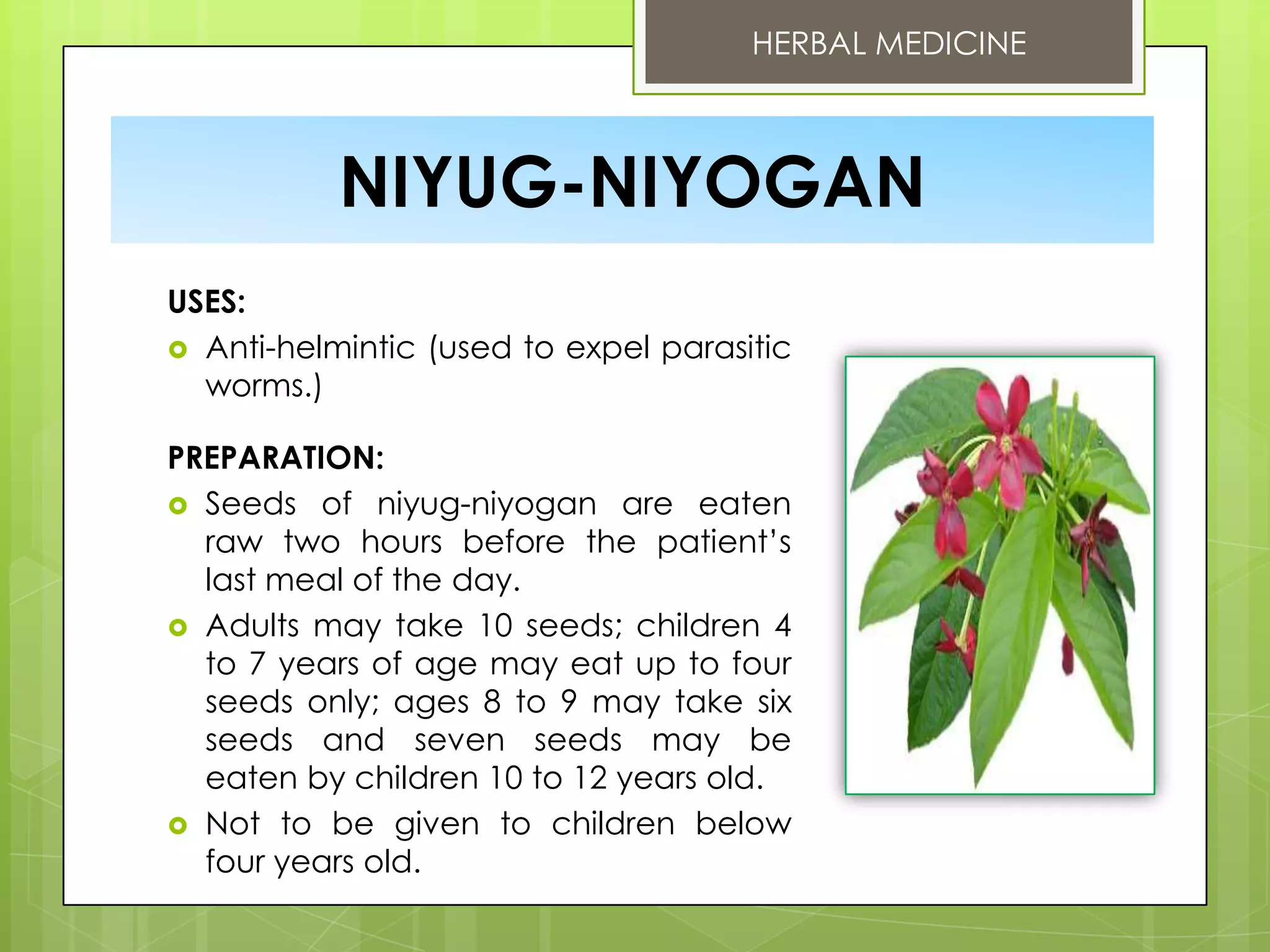 10 medicinal plants in the philippines.pdf