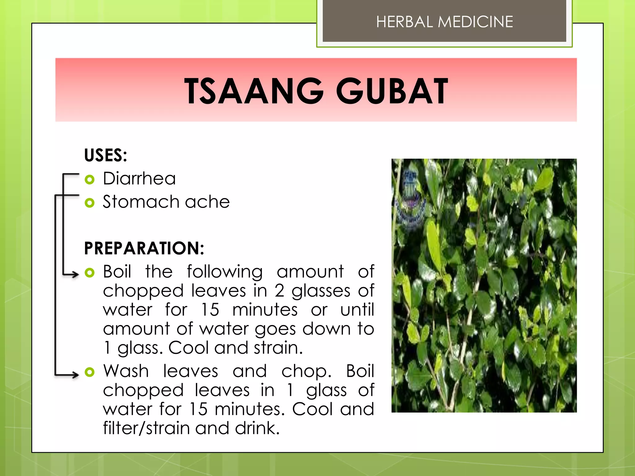 10 medicinal plants in the philippines.pdf