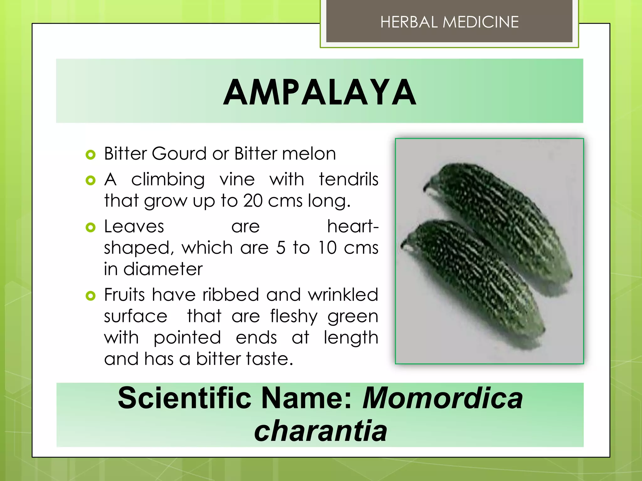 10 medicinal plants in the philippines.pdf