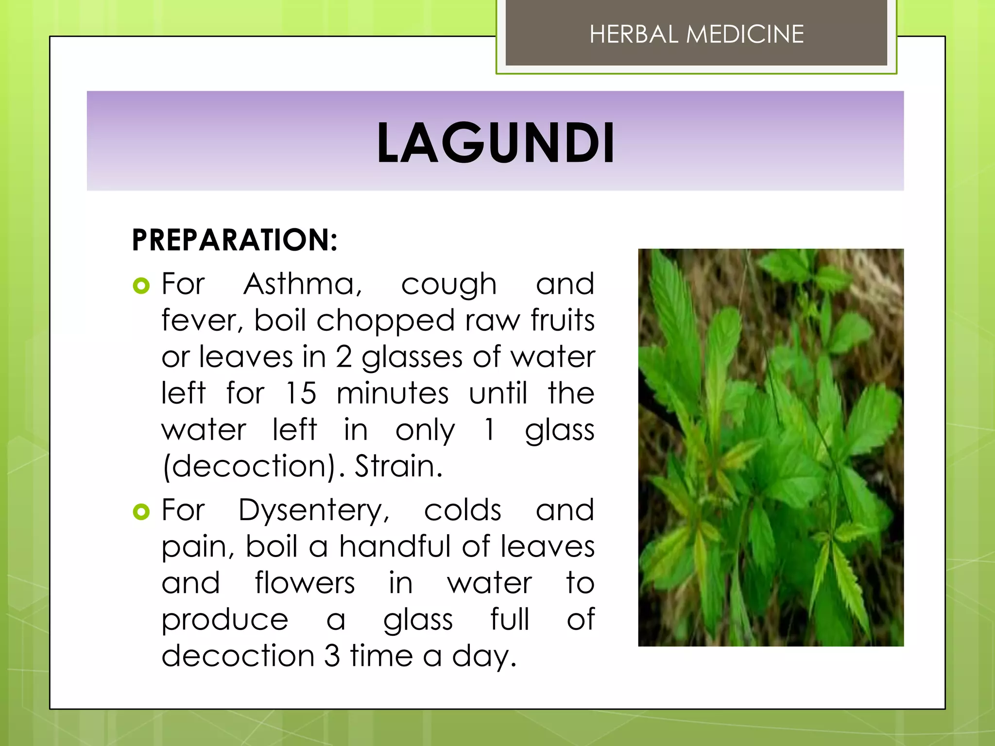 10 medicinal plants in the philippines.pdf