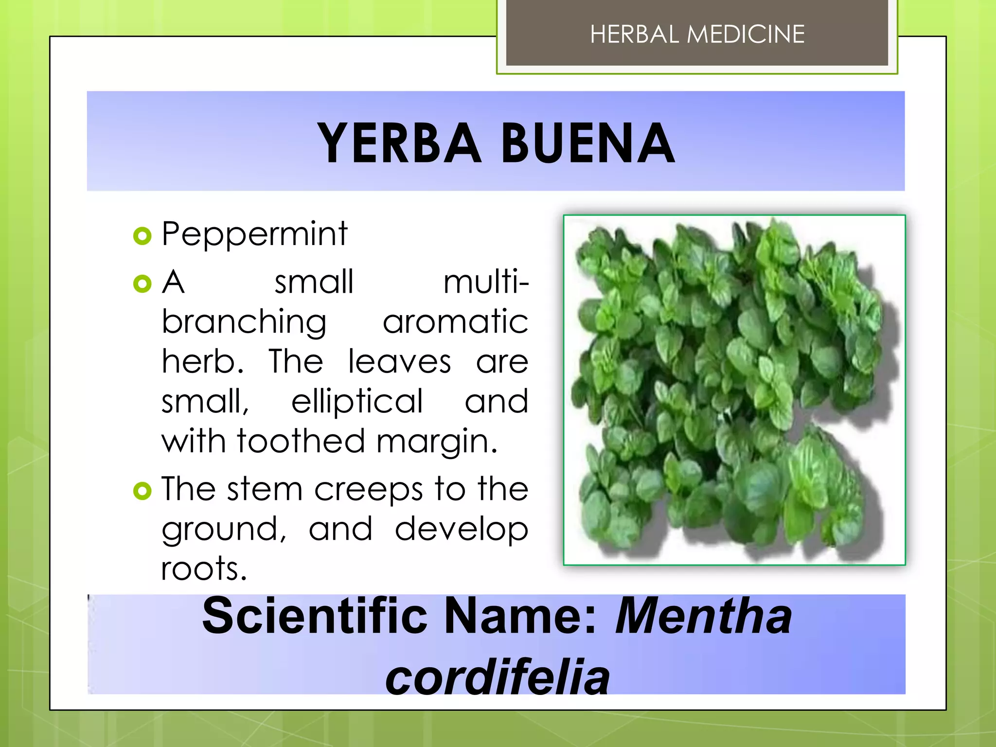 10 medicinal plants in the philippines.pdf