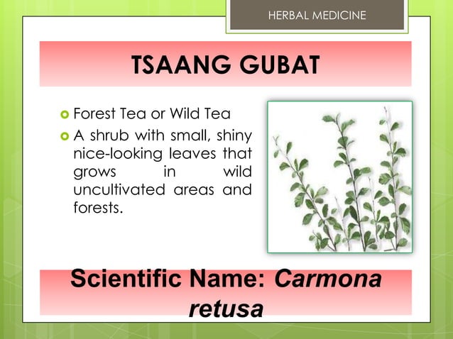 10 medicinal plants in the philippines.pdf