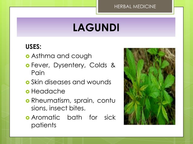 10 medicinal plants in the philippines.pdf