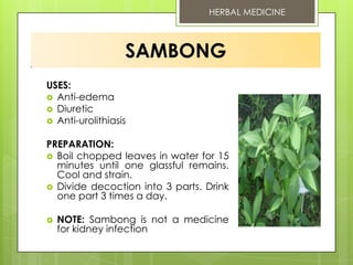 10 medicinal plants in the philippines.pdf