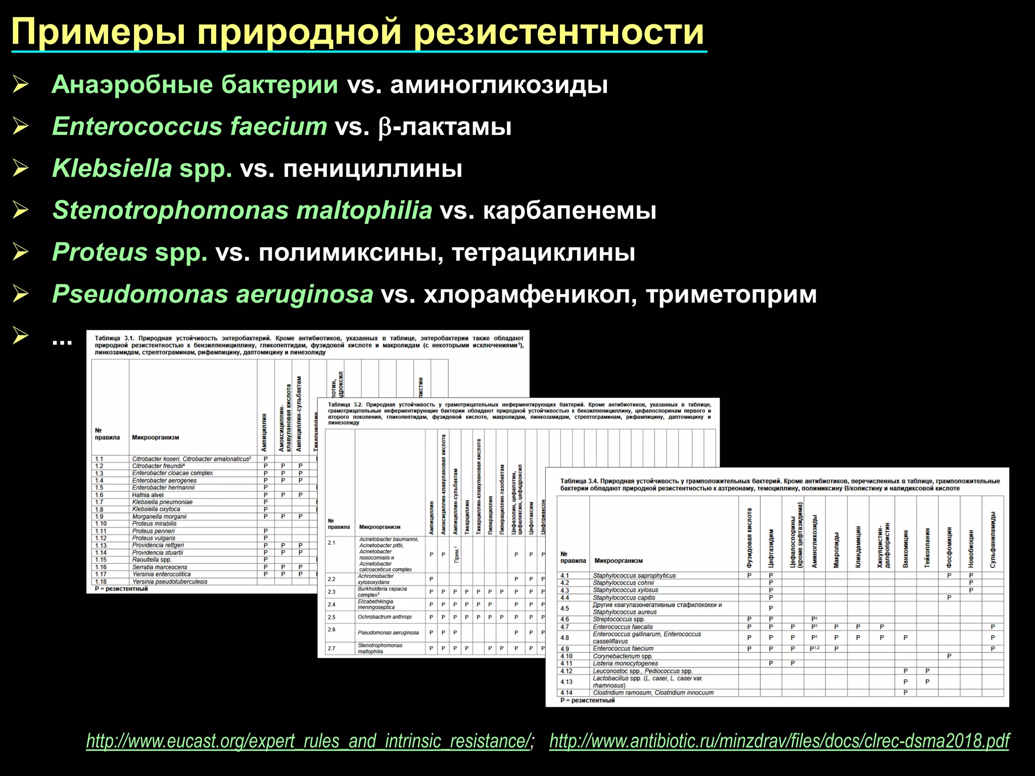 Definition of antibiotic resistance (RUS) | PDF
