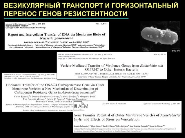 Definition of antibiotic resistance (RUS) | PPT