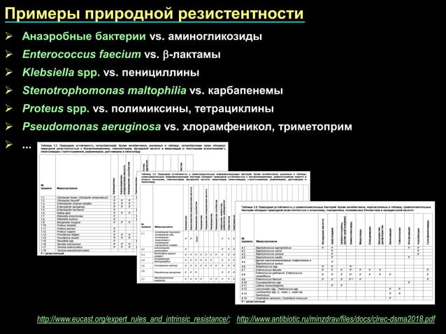 Definition of antibiotic resistance (RUS) | PPT