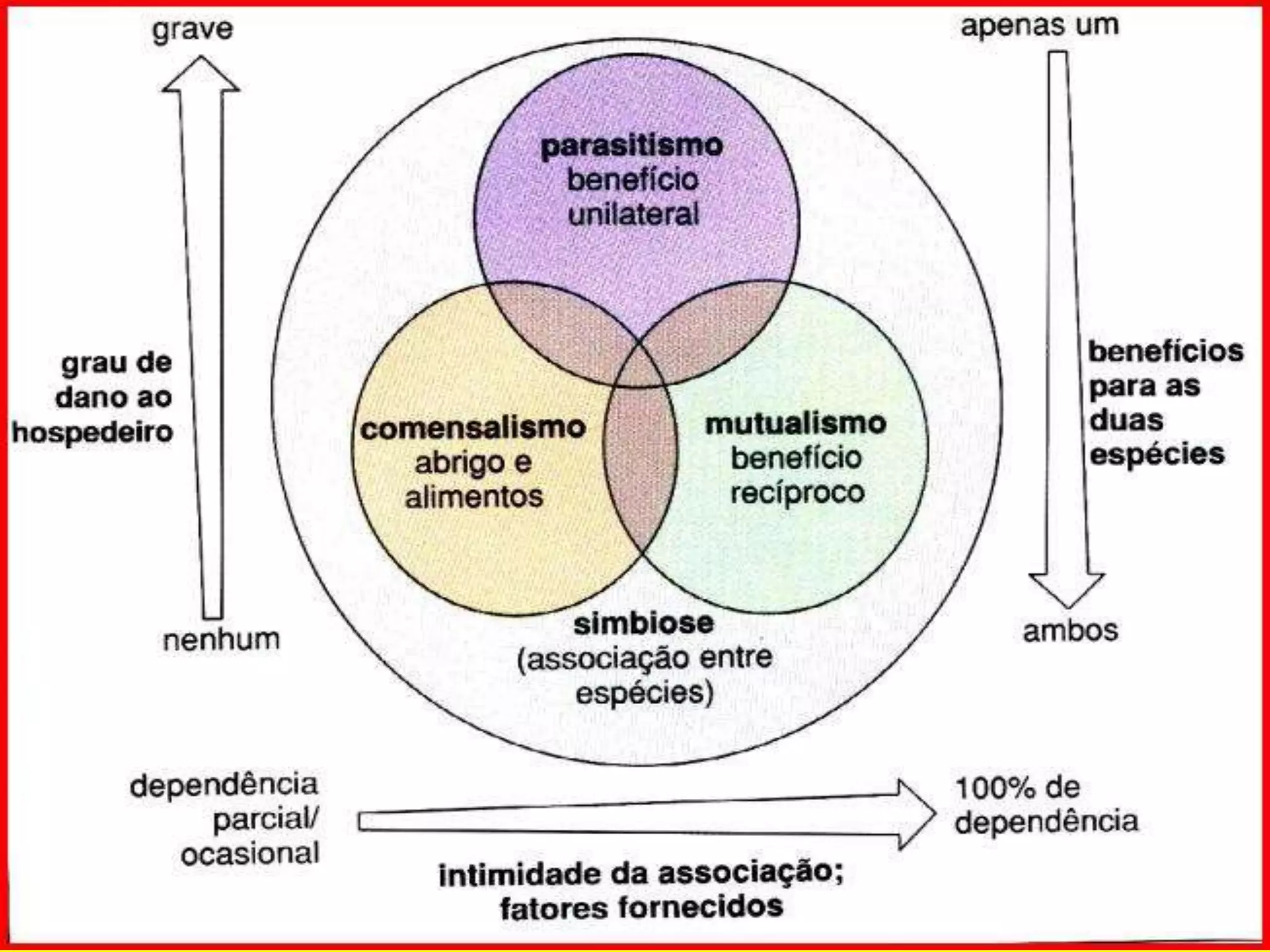 10 Microbiologia - MICROBIOTA NORMAL.ppt