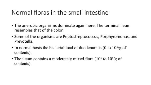 10 Microbiology of the Gastrointestinal Tract final .pptx