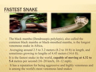 Fast things on earth by different categories | PPT