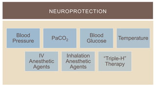 Neuroprotection during cerebral aneurysm surgery | PPT