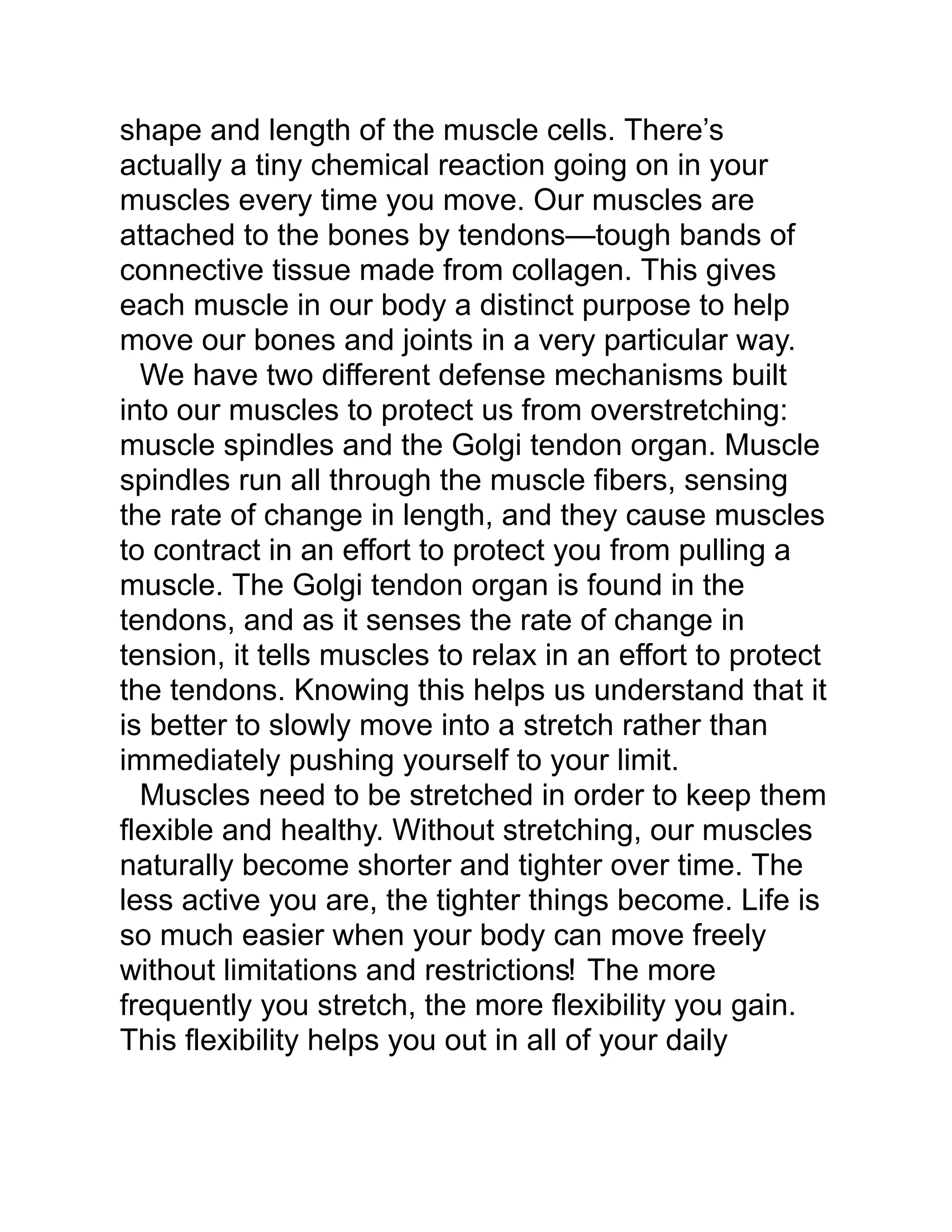 10 Minute Stretching - Simple Exercises To Build Flexibility Into Your ...