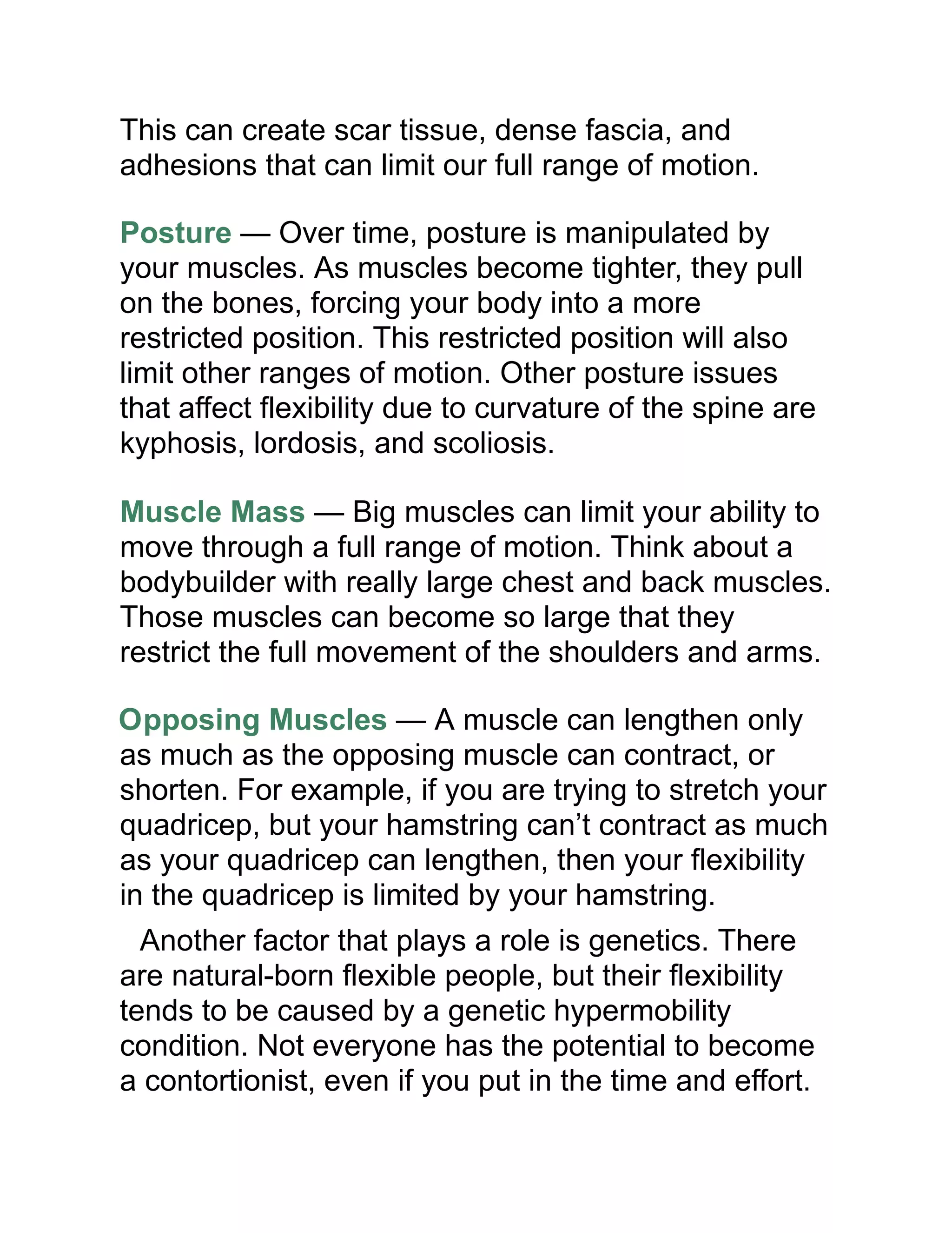 10 Minute Stretching - Simple Exercises To Build Flexibility Into Your ...