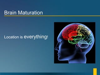 Brain Development and Toxic Stress | PPT