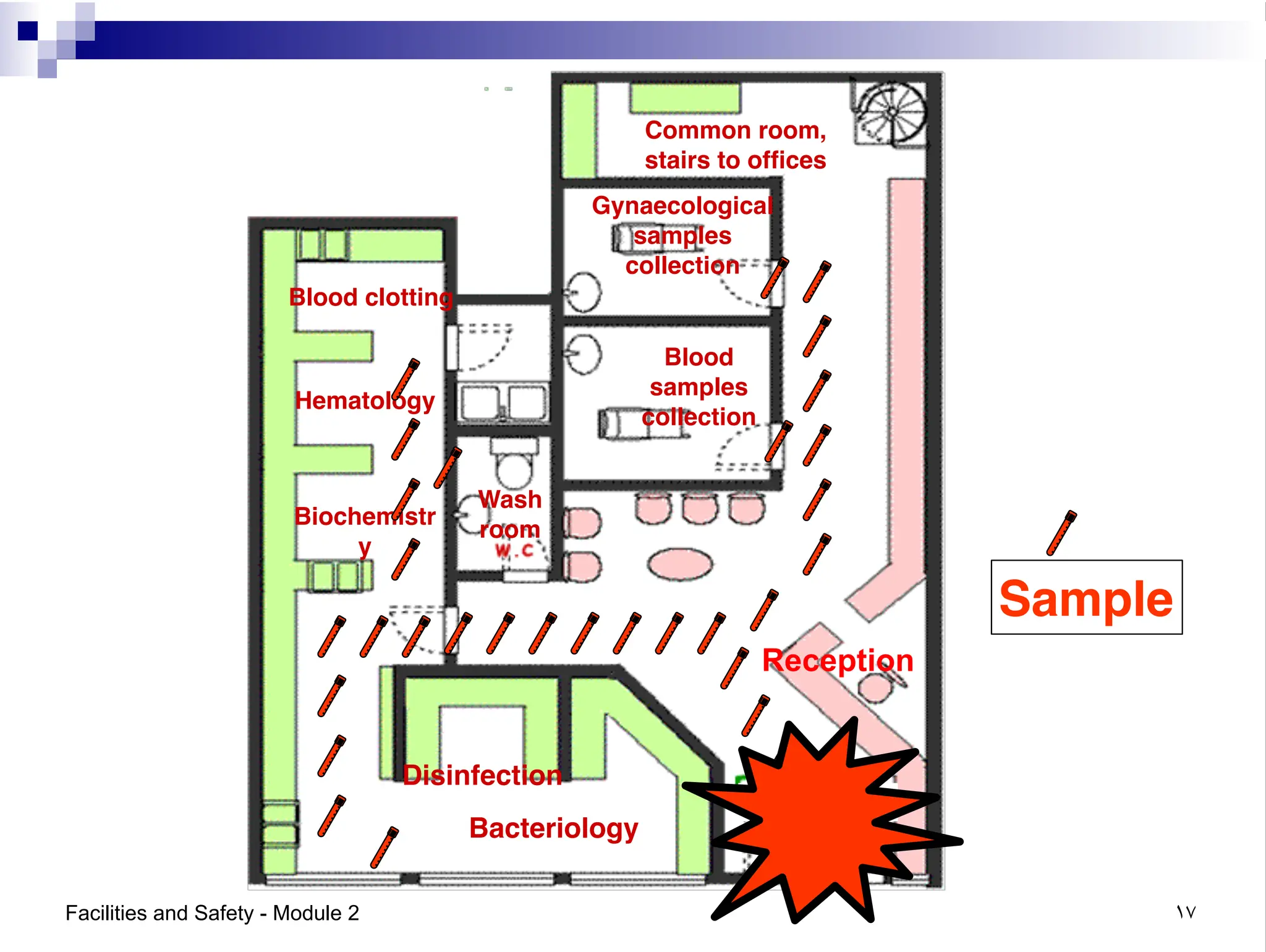 # 10 MLT 405 PPT Facilities and Safety & Waste Mgmt.pdf