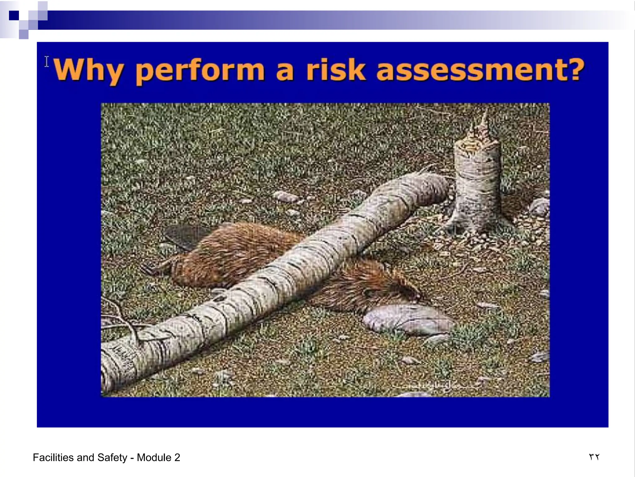 # 10 MLT 405 PPT Facilities and Safety & Waste Mgmt.pdf