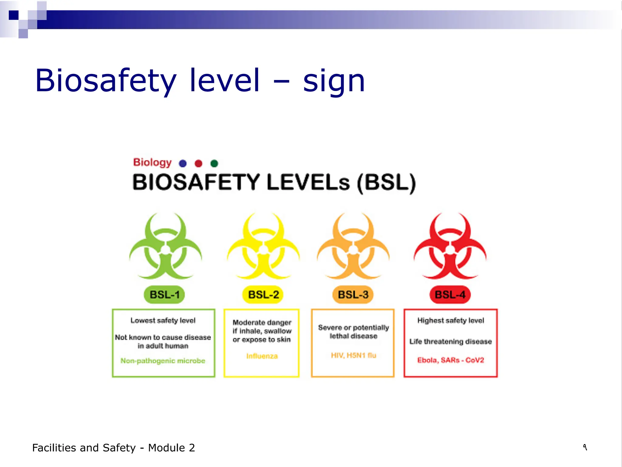 # 10 MLT 405 PPT Facilities and Safety & Waste Mgmt.pdf