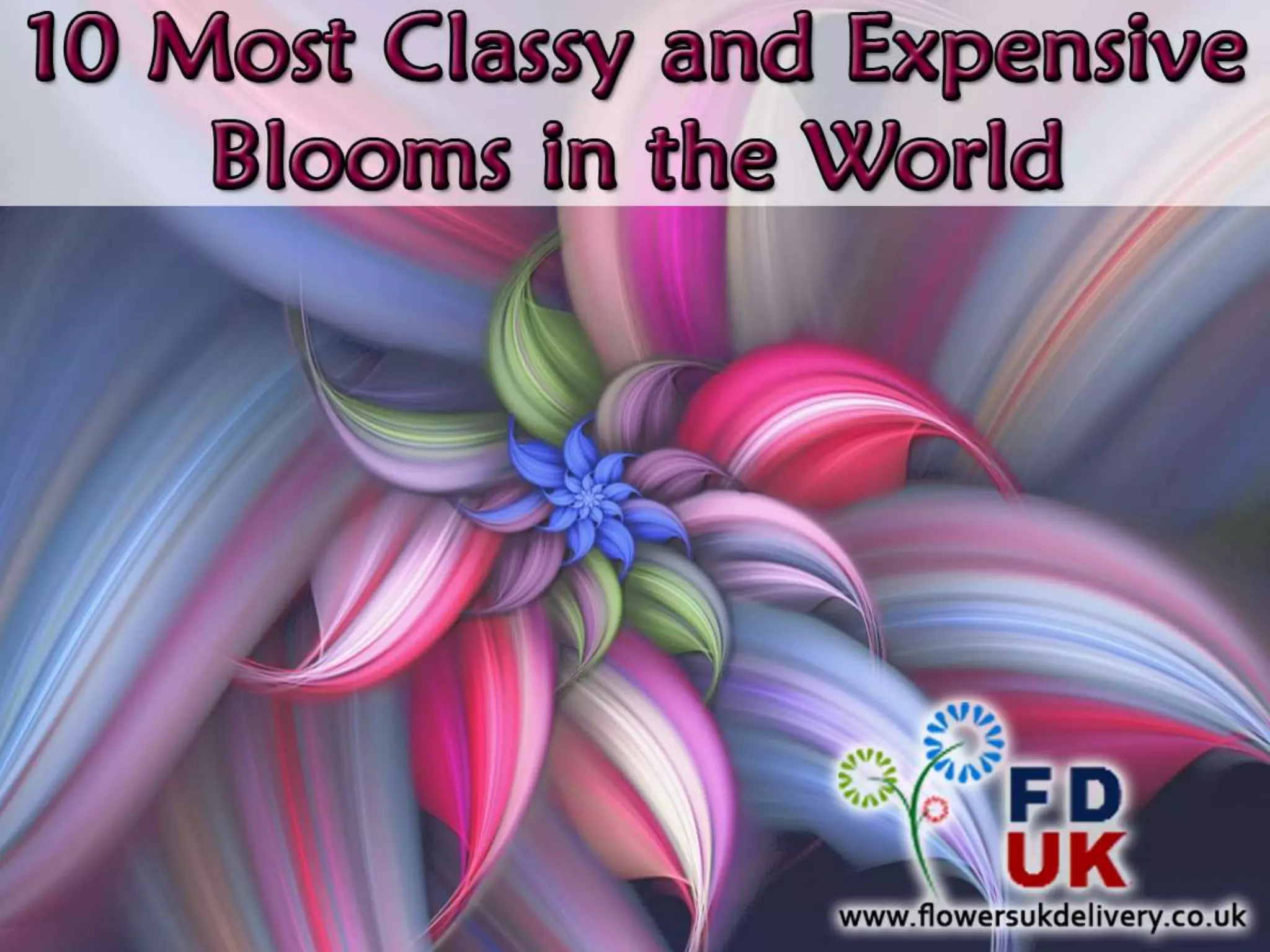 10 most classy and expensive blooms in the world | PPT