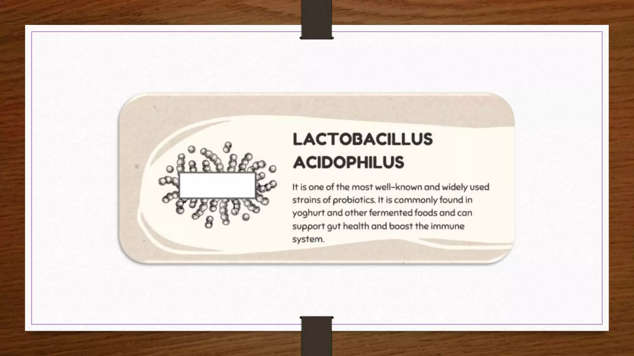 10 Most Common Types of Probiotics – Gut Foundation.pptx