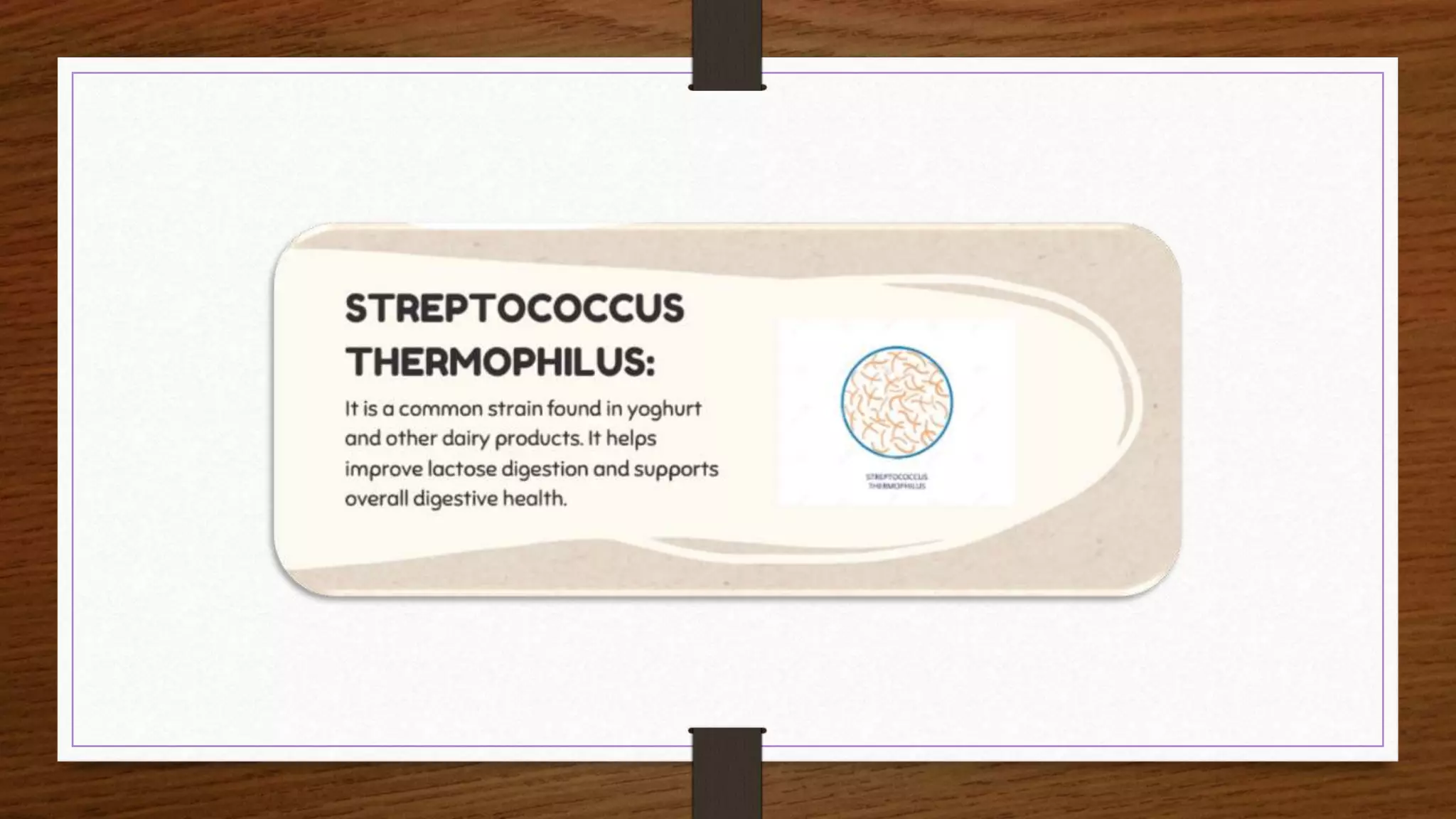 10 Most Common Types of Probiotics – Gut Foundation.pptx