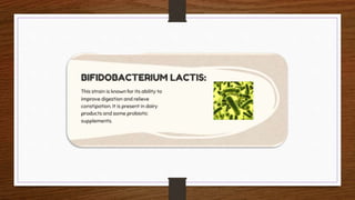 10 Most Common Types of Probiotics – Gut Foundation.pptx