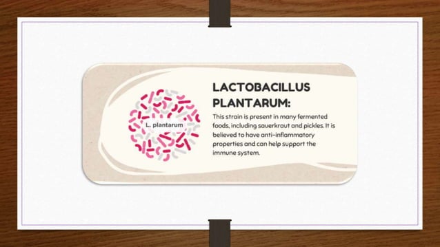 10 Most Common Types of Probiotics – Gut Foundation.pptx