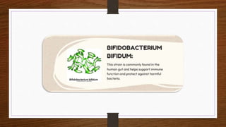 10 Most Common Types of Probiotics – Gut Foundation.pptx