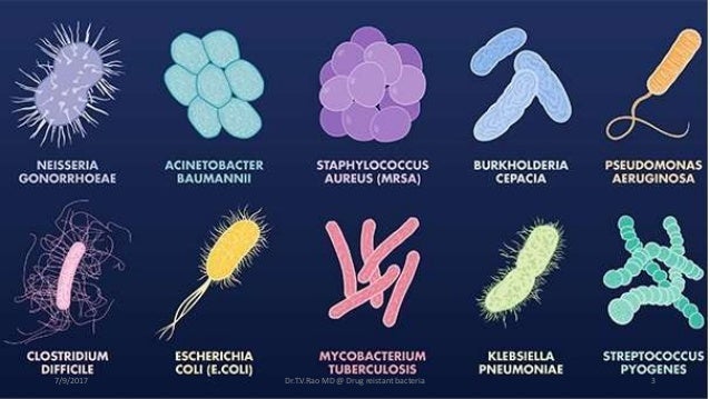 MOST DANGEROUS ANTIBIOTIC RESISTANT BACTERIA