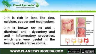Top 10 Most Effective Herbs To Cure Ulcerative Colitis Naturally | PPTX