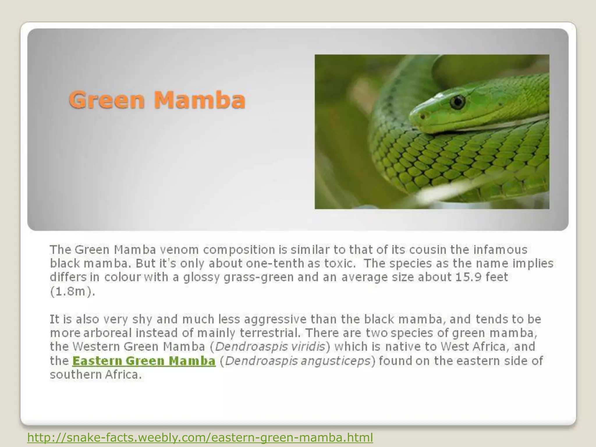 10 most venomous african snakes | PPTX