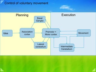 Motor system overview | PPT
