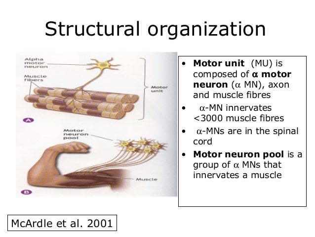10 motor unit sr2002 2013 al