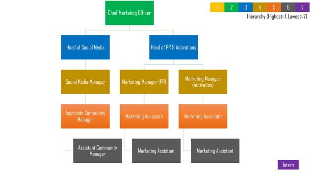 10 Minute School Organogram | PDF | Business | Business and Finance