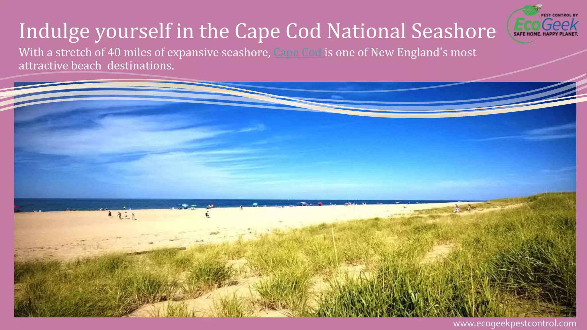 10 Must do Things to Enjoy Summers in Cape Cod | PPT