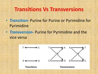 Mutation by Prof V P Acharya, Biochemistry, KIMS Bhubaneswar | PPTX